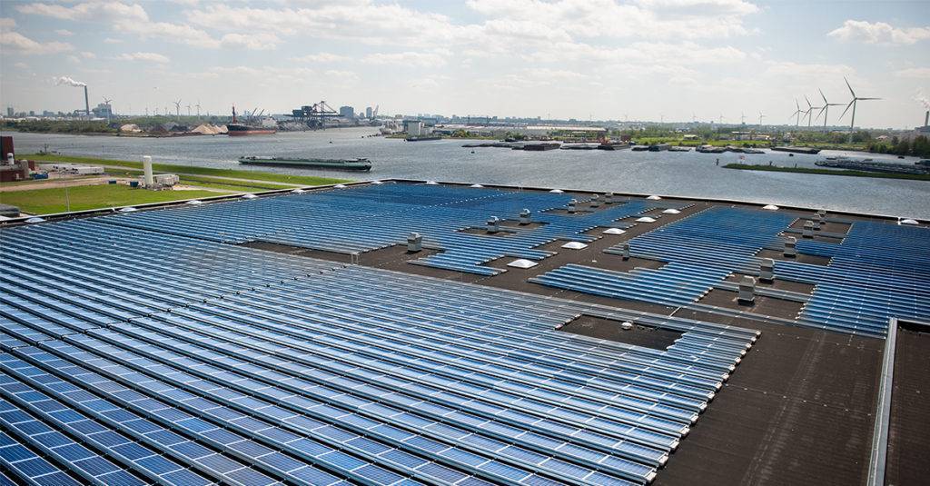 Er is geen reden om het niet te doen • Ecorus