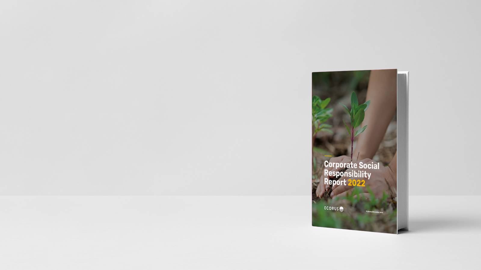 Our story • Ecorus • We Know How